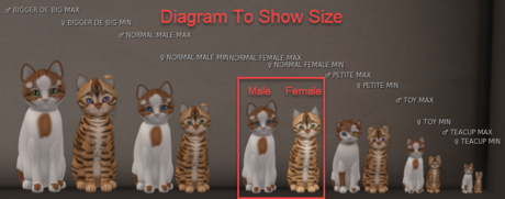 Second Life Marketplace - KittyCatS Genesis Patch II FLOOFY HEAD Girl ...