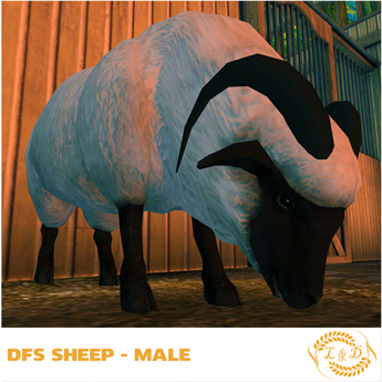 Second Life Marketplace - DFS Sheep - Male (0 days old)