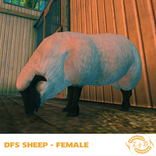 Second Life Marketplace - DFS Sheep - Female (0 days old)