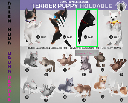 Second Life Marketplace - 3. SEmotion Libellune Terrier Puppy Holdable RARE