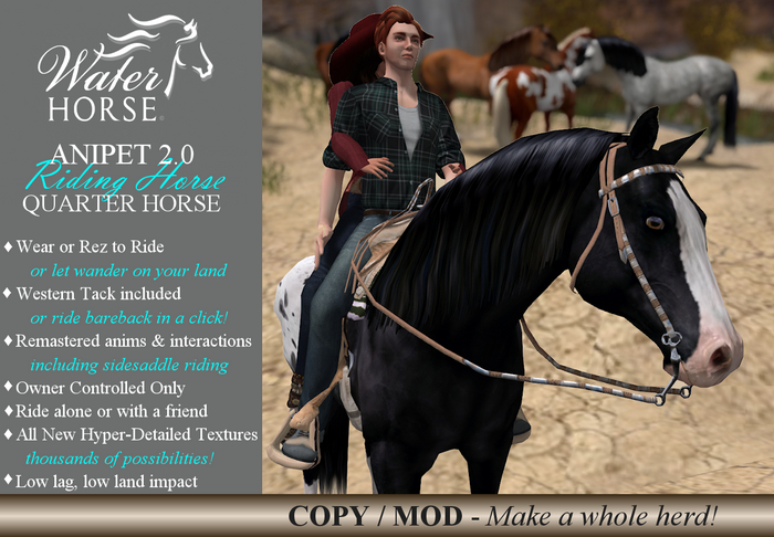 Second Life Marketplace - ~*WH*~ Anipet (Western Quarter Horse)