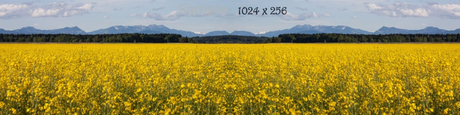 Second Life Marketplace - WoWScapes Golden Fields 360