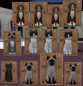 Second Life Marketplace - 12 KittyCats - SLB Birthday Kitty Offspring ...