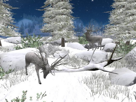 Second Life Marketplace - RW - Snowy Winter Landscape with pines, snow ...
