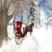 Second Life Marketplace - North Pole - Buggy Ride