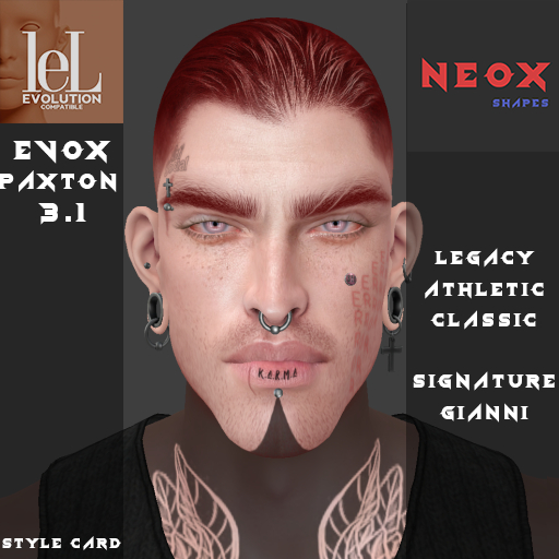 Second Life Marketplace - [Neox] Shape Andrei Lelutka EvoX Paxton 3.1