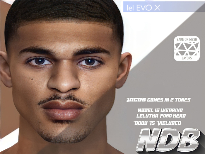 Second Life Marketplace - NDB - JACOB SKIN LELUTKA EVO X BOM "TONE 2 ...