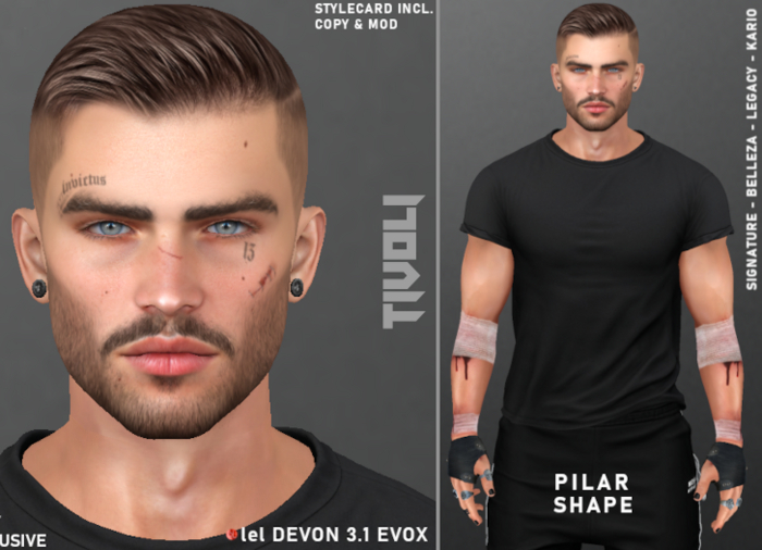 Second Life Marketplace - -Tivoli inc - Devon shape lelutka Devon head ...