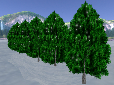 Second Life Marketplace - Mesh Pine tree row & single Pine tree with ...