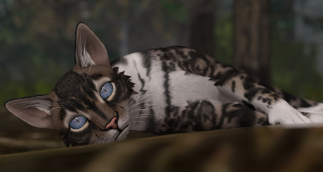Second Life Marketplace - TWI Wildcat Avatar
