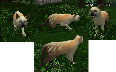 Second Life Marketplace - /Ren// TWI Wildcat MOD Texture Applier - Cat ...