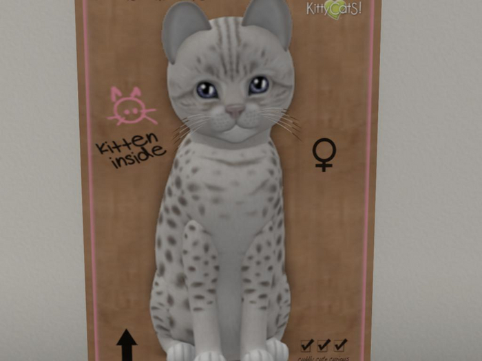 Second Life Marketplace Kittycats Box Ocicat Platinum Teacup 4445