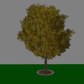 Second Life Marketplace - JAPANESE MAPLE(TEXT CHANGE)