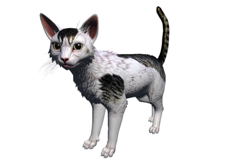 Second Life Marketplace - Cat with a cat on its back -Animaws- GIFT ...