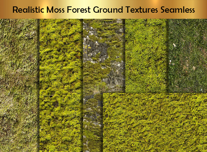 Second Life Marketplace - Realistic Moss Forest Ground Textures Seamless C