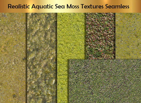 Second Life Marketplace - Realistic Aquatic Sea Moss Textures Seamless