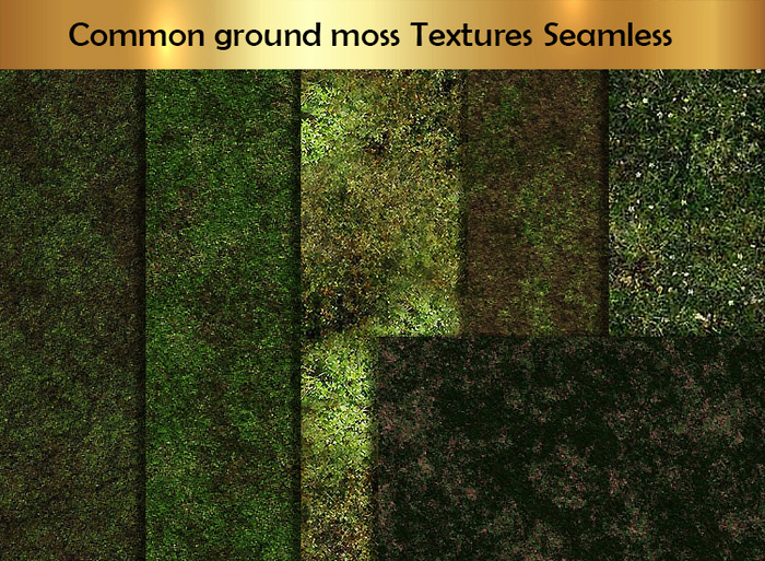 Second Life Marketplace - Common ground moss Textures Seamless