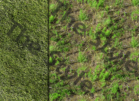 Second Life Marketplace - Realistic Garden Grass Textures Seamless