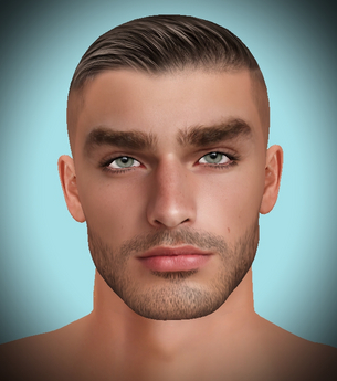 Second Life Marketplace - Apolo777 LeLUTKA QUINN EvoX Head 3.1 ...
