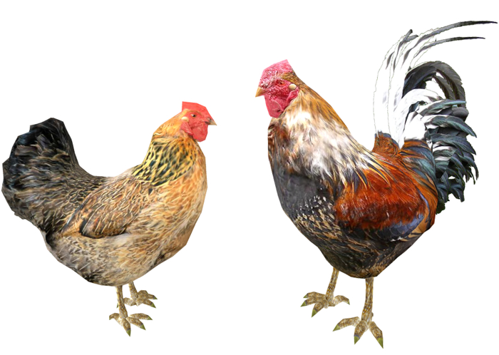 Second Life Marketplace - DFS Rooster & Hen (2 items)