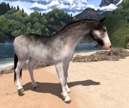 Second Life Marketplace - WH Anipet - Maximum Sabino markings layer by ...