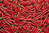 Second Life Marketplace - DFS HOT PEPPERS by O's creations