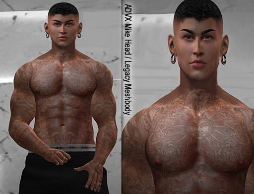 Second Life Marketplace - :: H4 // Leon Shape Evo X