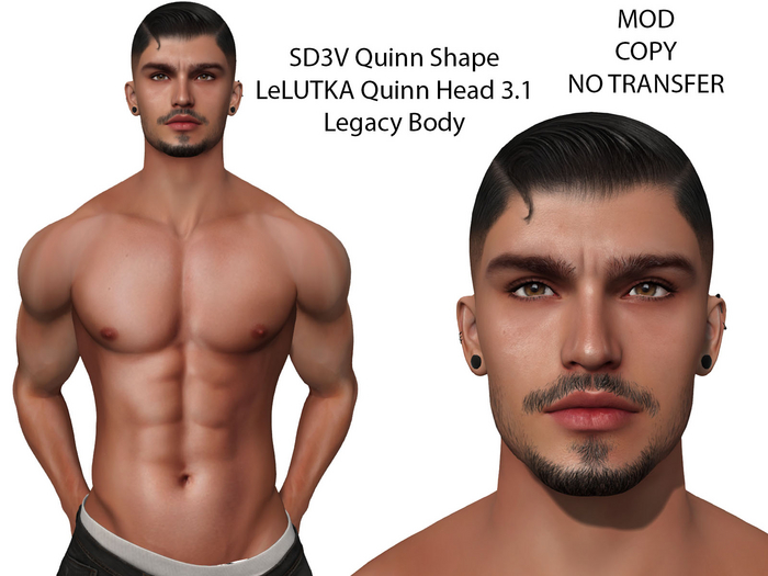 Second Life Marketplace - SD3V Quinn Shape Male Avatar LeLUTKA 3.1 ...