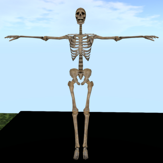 Second Life Marketplace - Full Perm 8m Tall Giant Skeleton mesh avatar