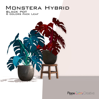 Second Life Marketplace - PCC Monstera Hybrid - Black