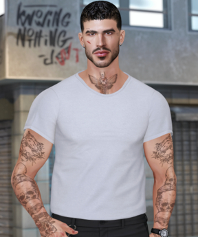 Second Life Marketplace - [LCS] Anton Shape - Lelutka Noa 3.1