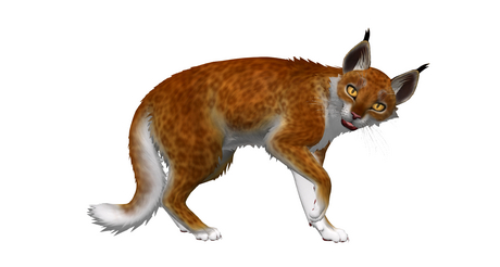 Second Life Marketplace - Leopard *Natural&Pearl* MOD