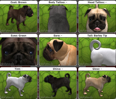 Second Life Marketplace - ♡Biobreeds Breedable Pug ~ Brown Female ...