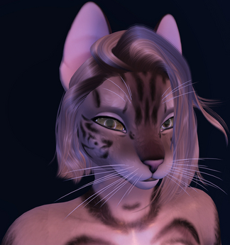 Second Life Marketplace - .::F::. Bengal v2 - Charcoal (Add to Unpack!)