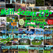 Second Life Marketplace - Multi-Scene with 275+ Scenes/Homes ...