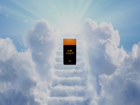 Second Life Marketplace - Cologne Coach Noir 1