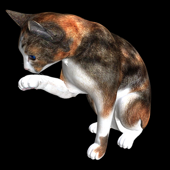 Second Life Marketplace - Cat Licking Paw Copyable