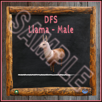 Second Life Marketplace - TEXTURE - DFS Llama - Male (Full Perm)
