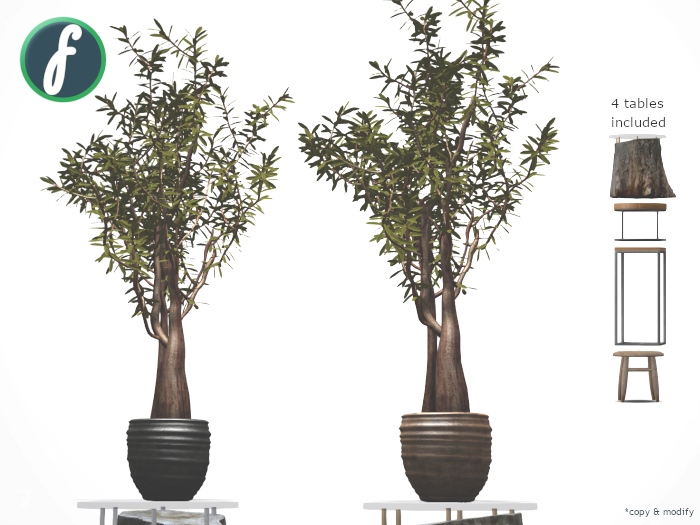 Second Life Marketplace - friller Olive Tree B [4 pot textures]