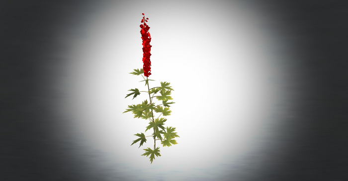 Second Life Marketplace - DelphiniumBlissful1