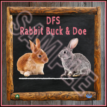 Second Life Marketplace - TEXTURE - DFS Rabbit Buck & Doe (Full Perm)