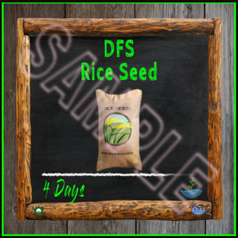 Second Life Marketplace - TEXTURE - DFS Rice Seed (Full Perm)