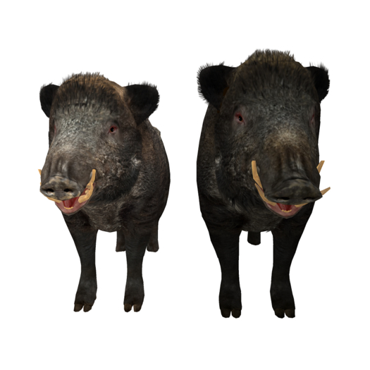 Second Life Marketplace - DFS Boar & Sow Tarsk (2 items)