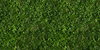 Second Life Marketplace - Grass Texture