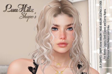Second Life Marketplace - //L.H SHAPES- SHAPE Aline-AVALON - HEAD ...