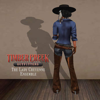 Second Life Marketplace - [Timber Creek] Lady Cheyenne Ensemble-Brown