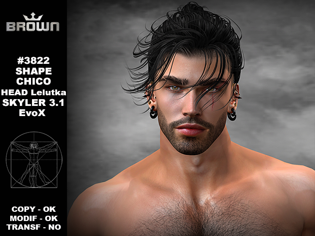 Second Life Marketplace - 3822 SHAPE CHICO HEAD Lelutka SKYLER 3.1 EvoX