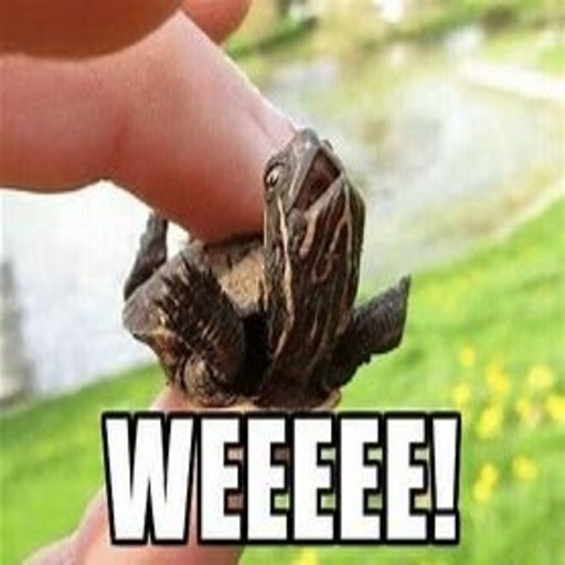 Second Life Marketplace - WEEE! Meme Gesture