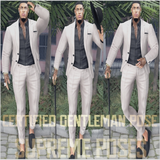 Second Life Marketplace - SUPREME POSES - Certified Gentleman Posepack