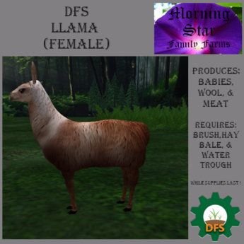 Second Life Marketplace - DFS Llama - Female